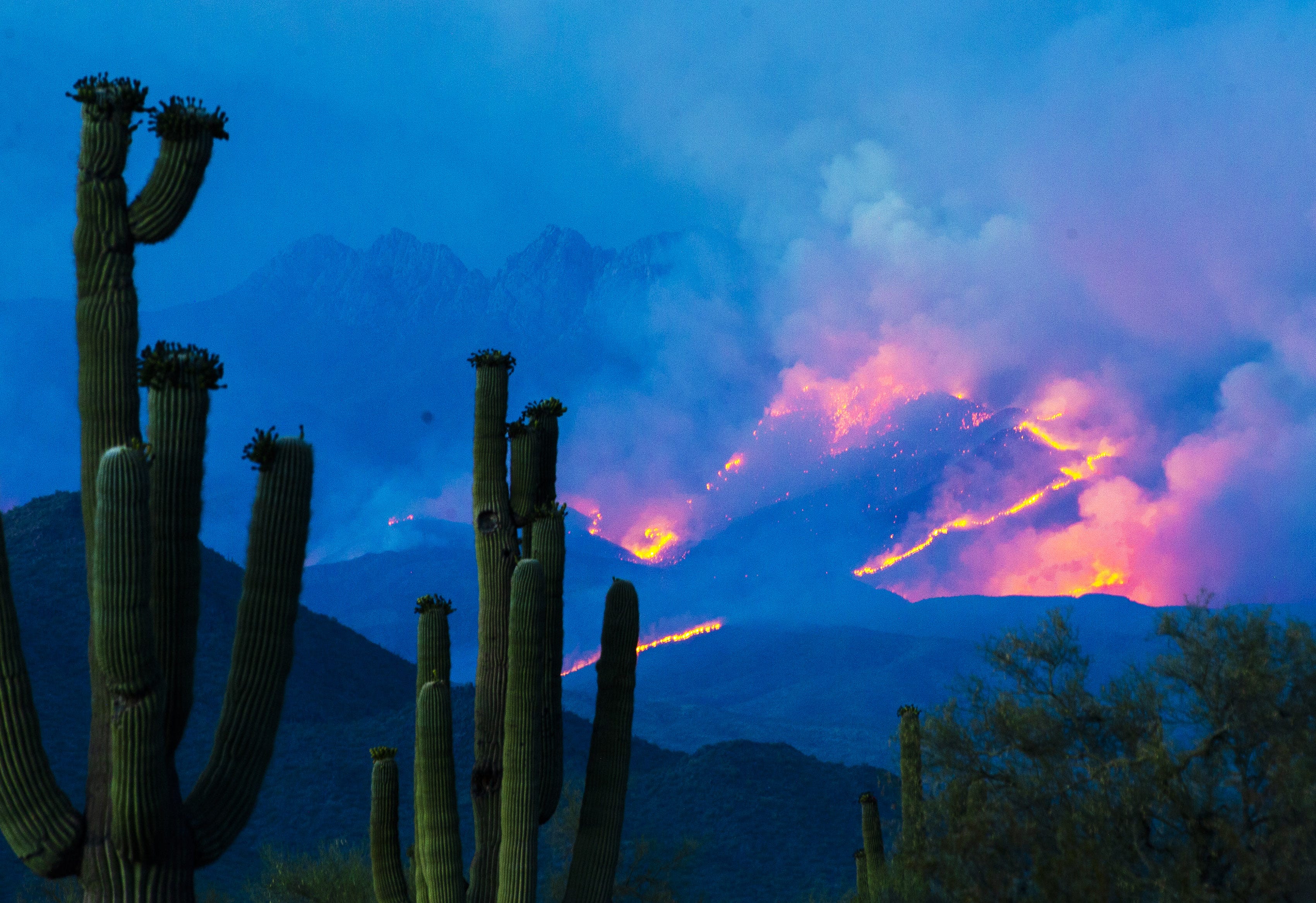 Major Forest Service changes stoke concern amid AZ wildfire season