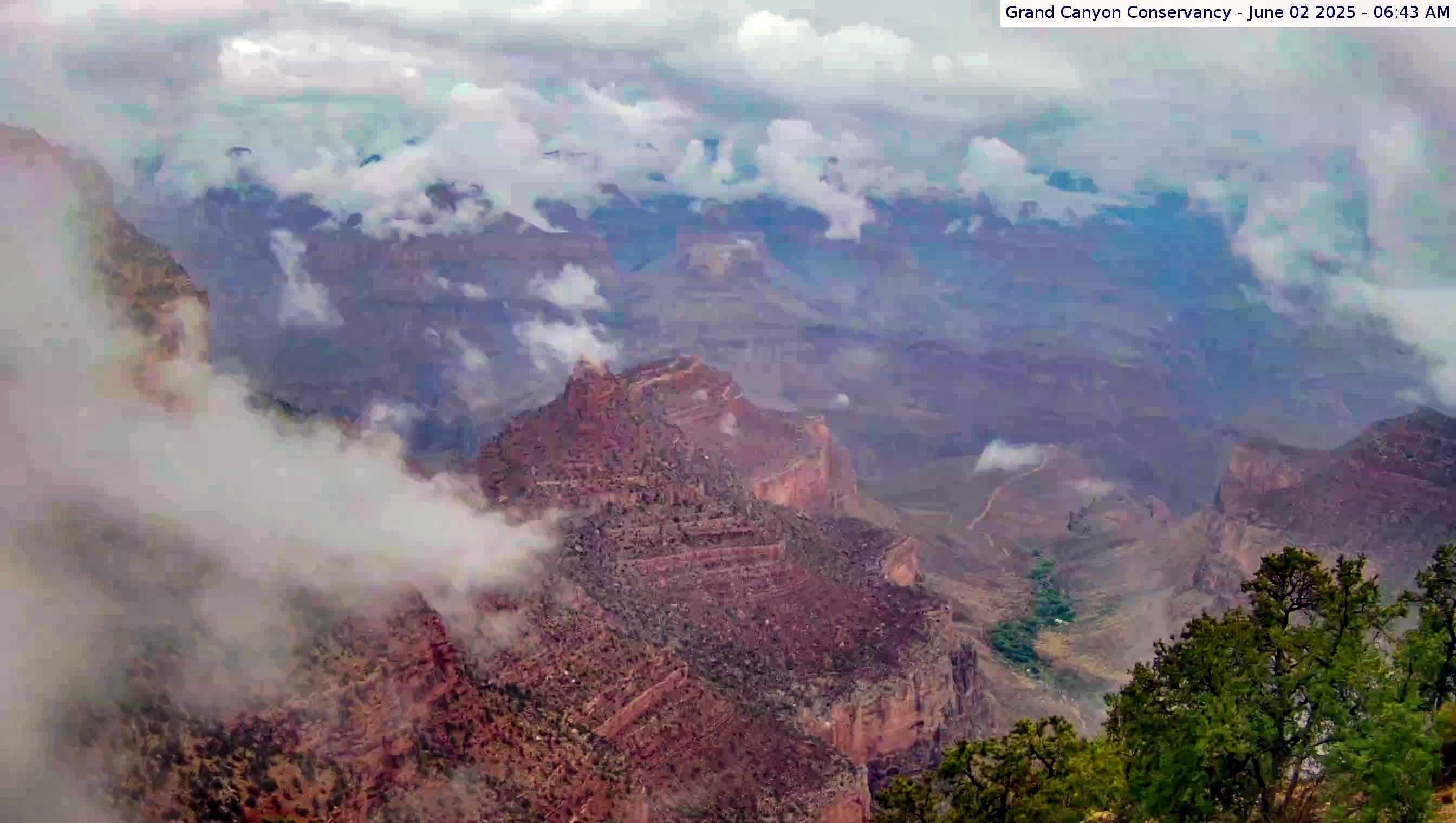 'Very uncommon': Early June rain is rare, but how much more is expected?