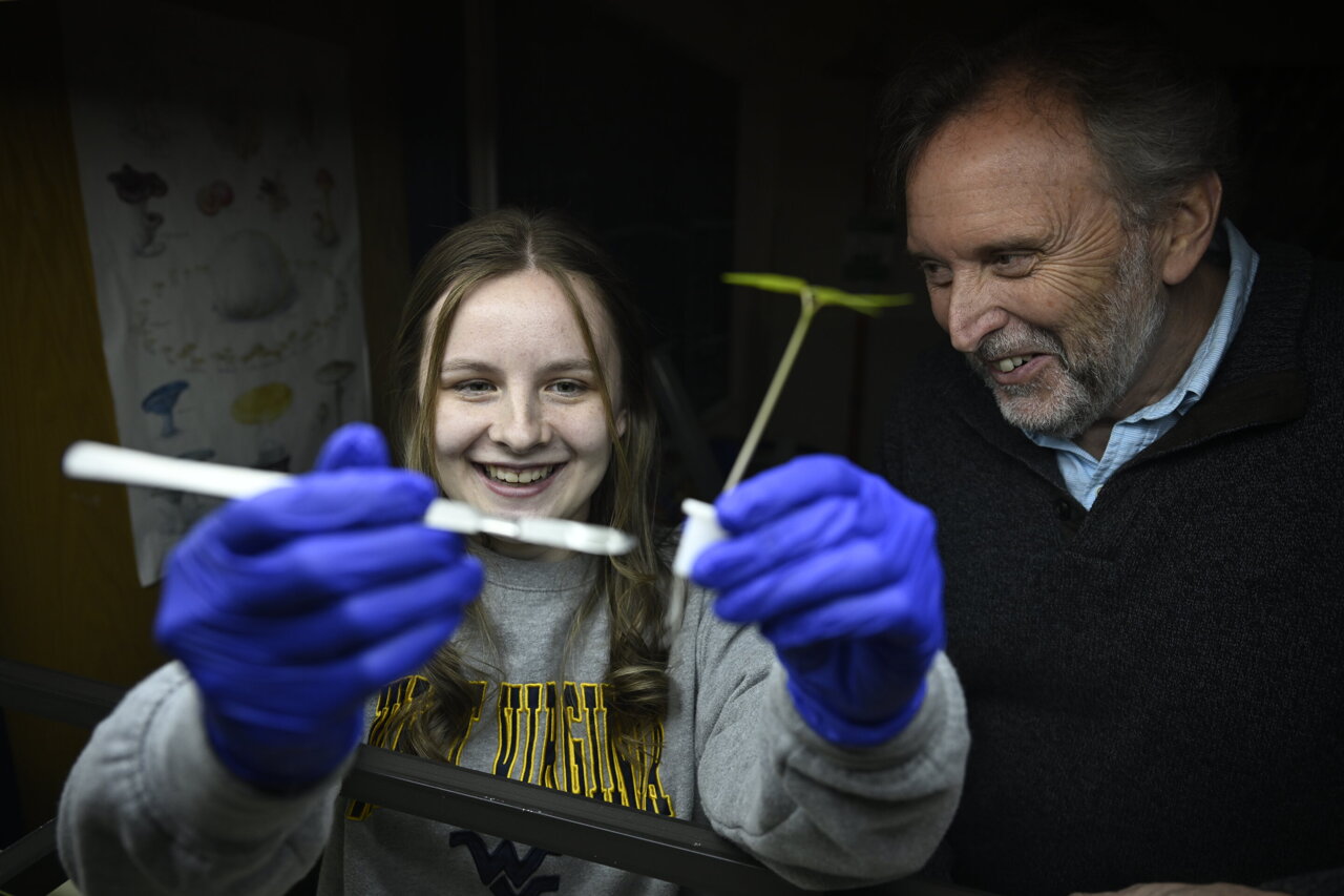 Long-awaited mystery fungus sought by LSD's inventor discovered