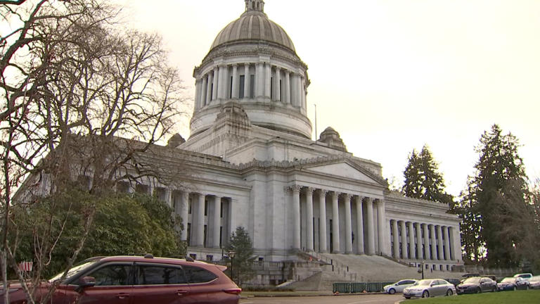 Millionaires tax passes WA Senate