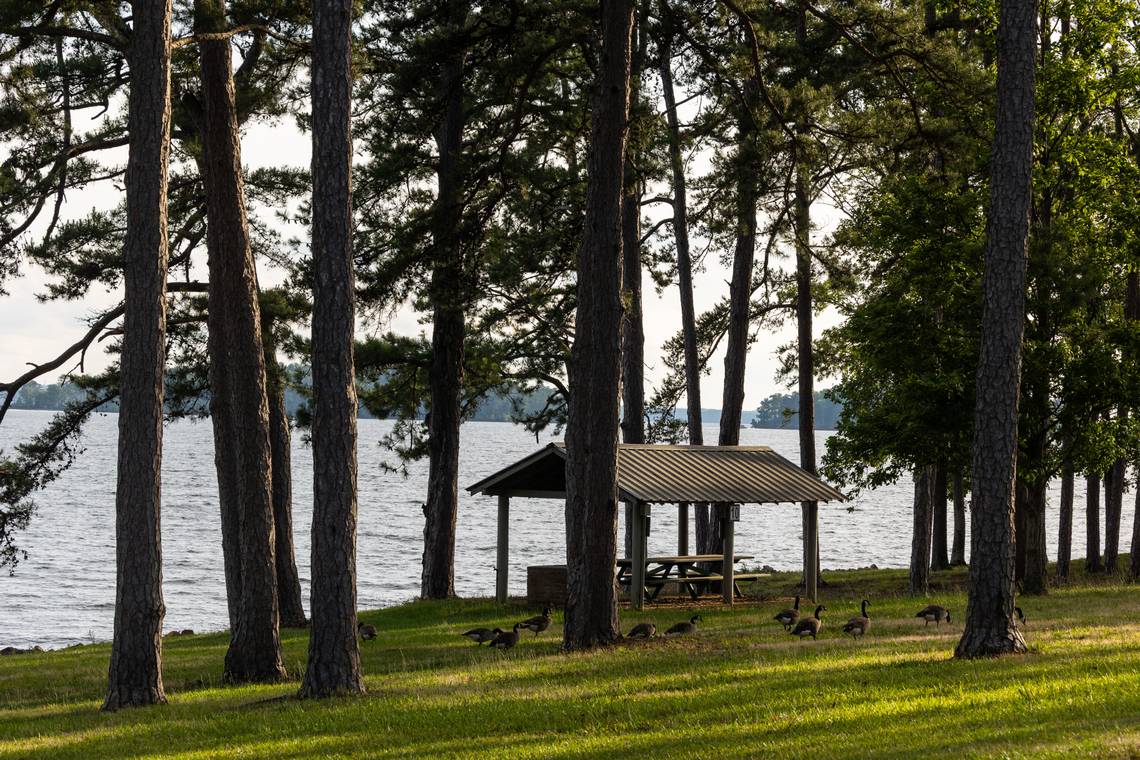 How the new SC budget would tackle a Lake Murray park's traffic conundrum
