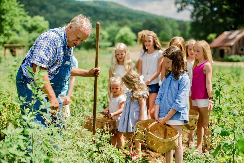 Southern Living says these 2 Georgia spots are the best for picking ...