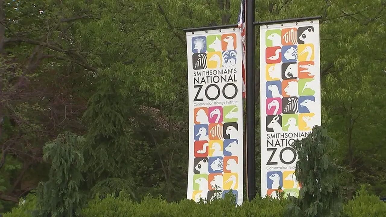 Fight at DC National Zoo causes tense moments, but no ongoing threat ...