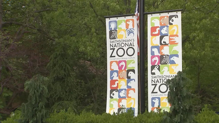 Fight at DC National Zoo causes tense moments, but no ongoing threat ...