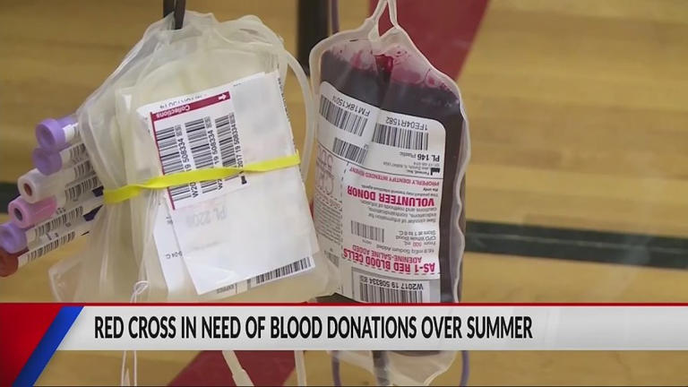 The Red Cross reminds us that summer means an increased need for blood ...