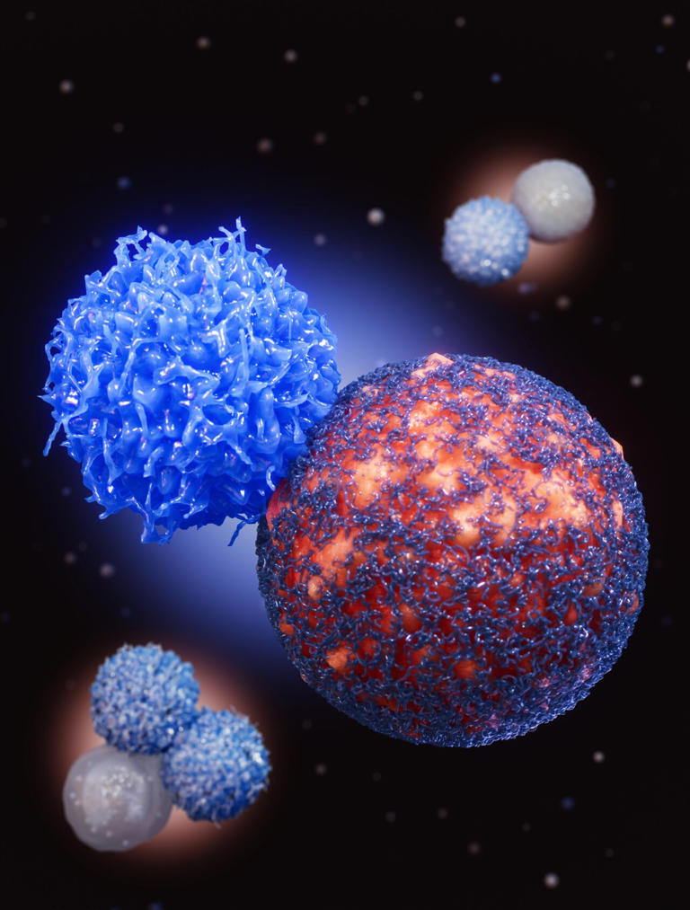 Why some skin cancers defy immunotherapy—and how to fight back