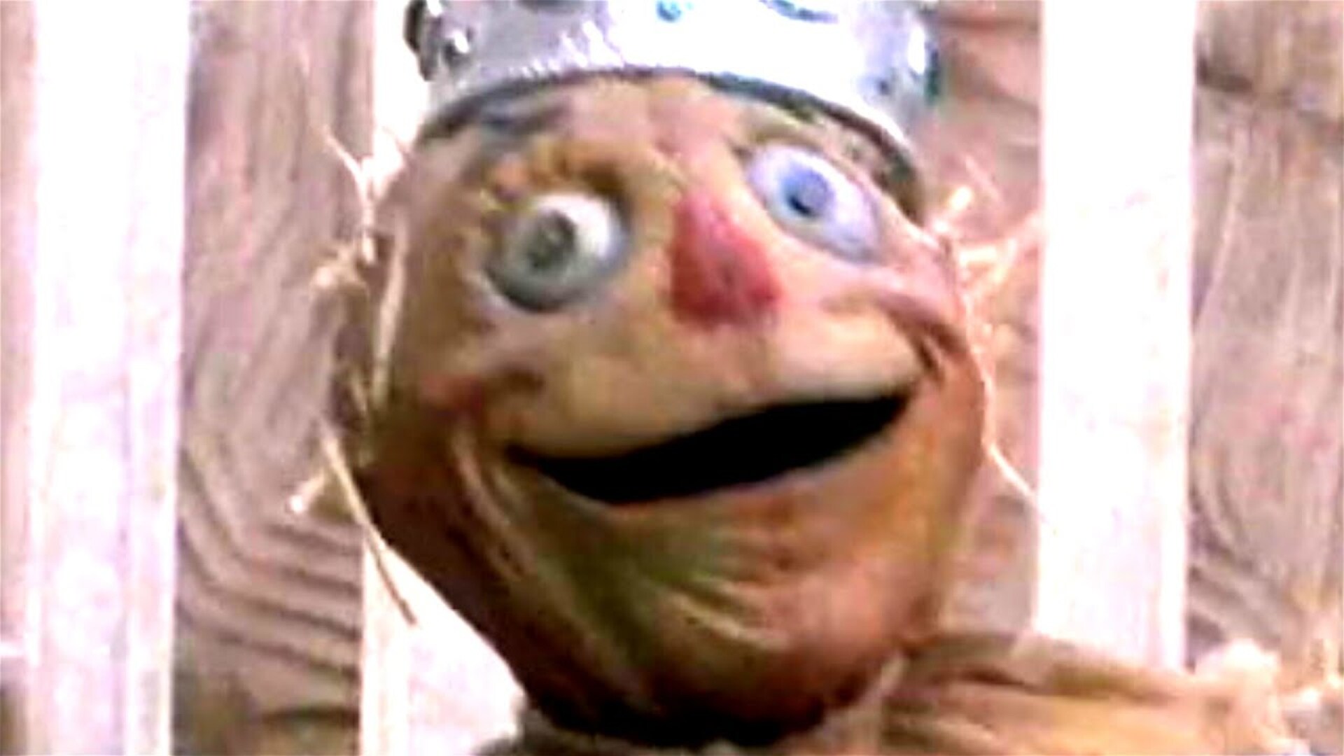 Family Horror Films Too Scary For Kids