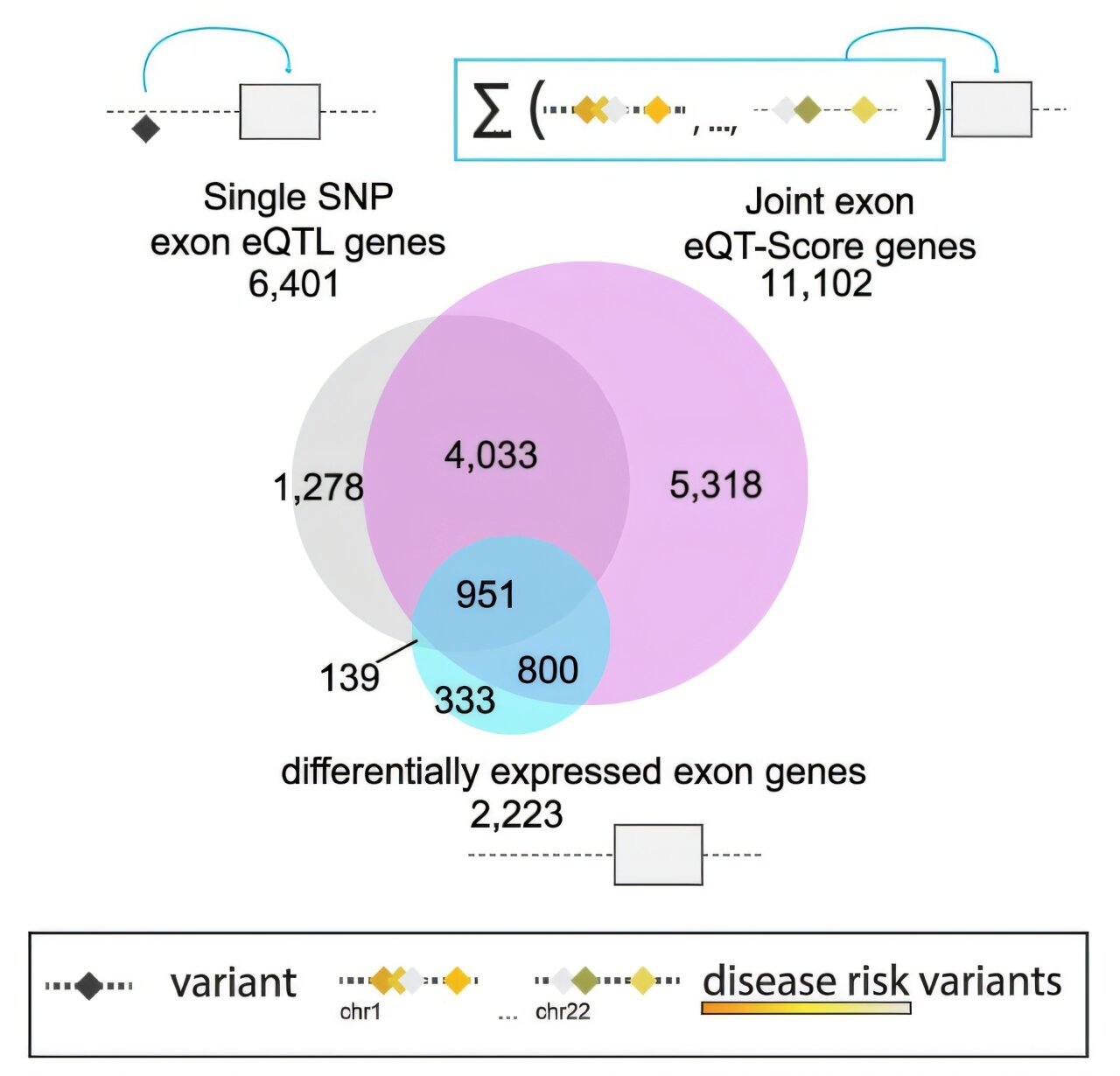 Genetic analysis reveals shared biological mechanisms in depression ...