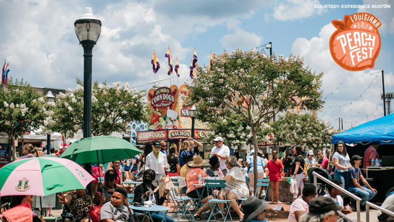 2025 Peach Hunt kicks off ahead of Louisiana Peach Festival