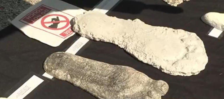 Festival honoring legendary cryptid held in Kentucky