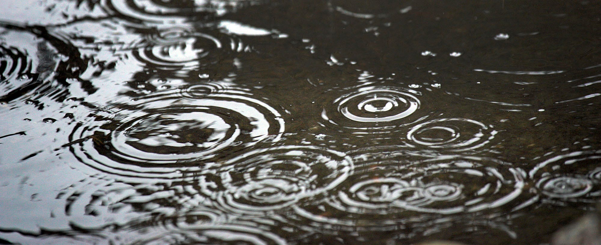 Atmospheric river expected to drench West Coast. When and what to ...