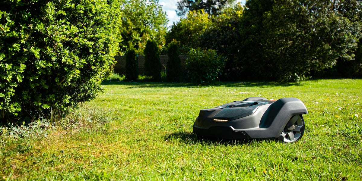 While You Weed the Garden, Cook Dinner, or Enjoy a Cold Beverage, These ...