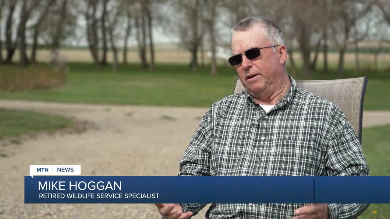 Wildlife manager shares experiences in book