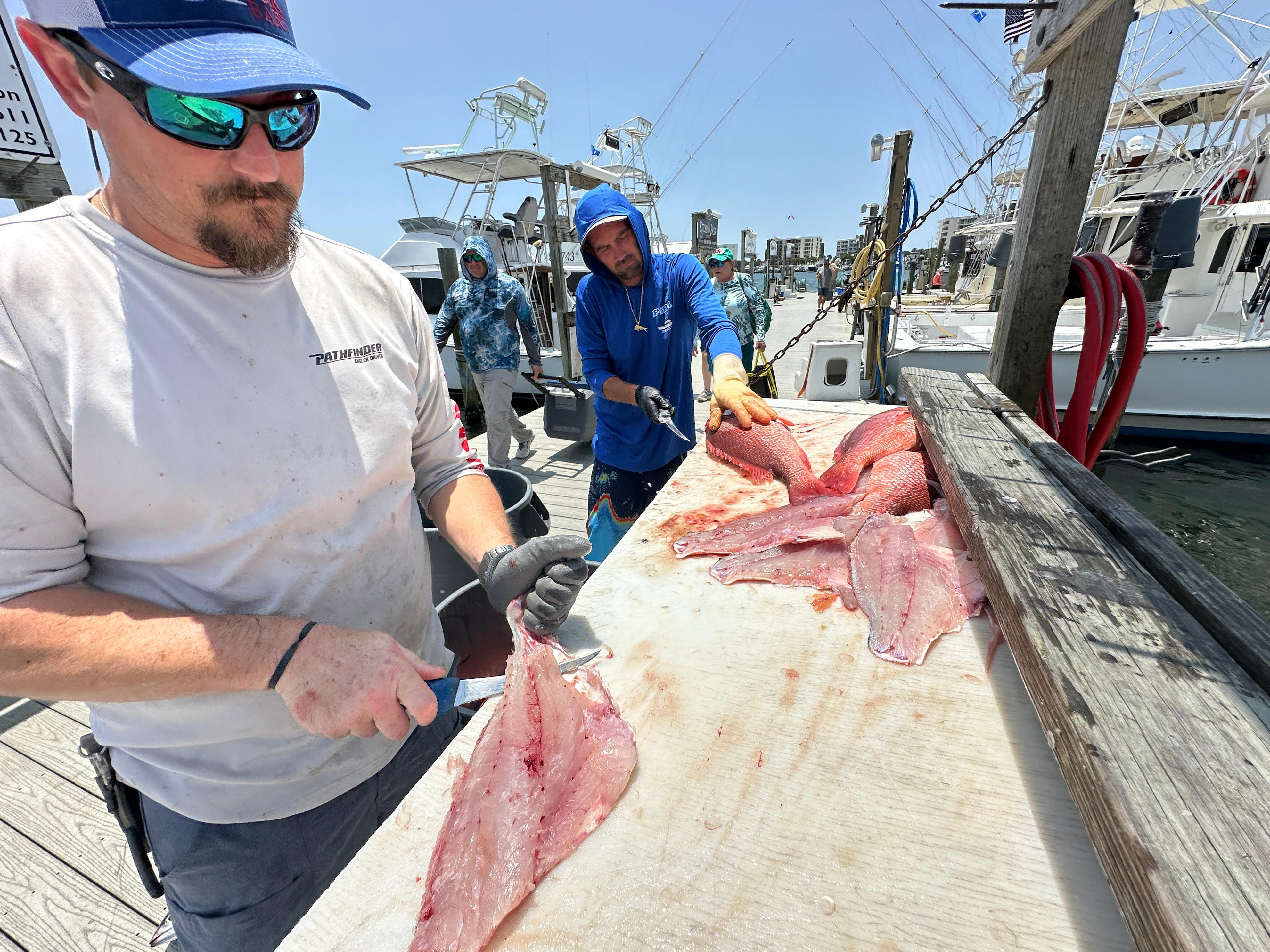Gulf captains worry 147-day red snapper season is too long