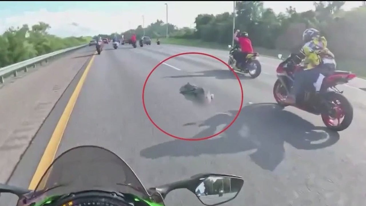 'Help me, Jesus': Florida man hits alligator on I-4, flips over bike ...