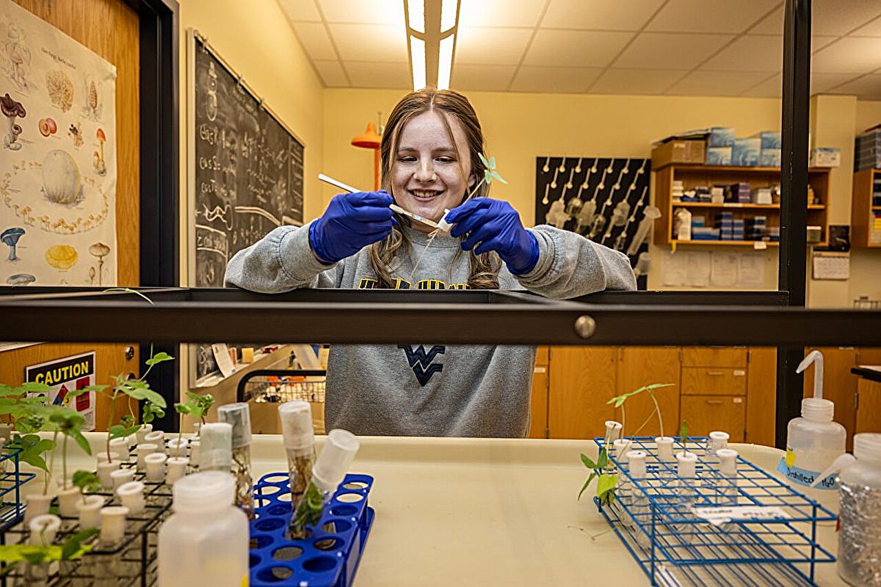 Long-awaited mystery fungus sought by LSD's inventor discovered