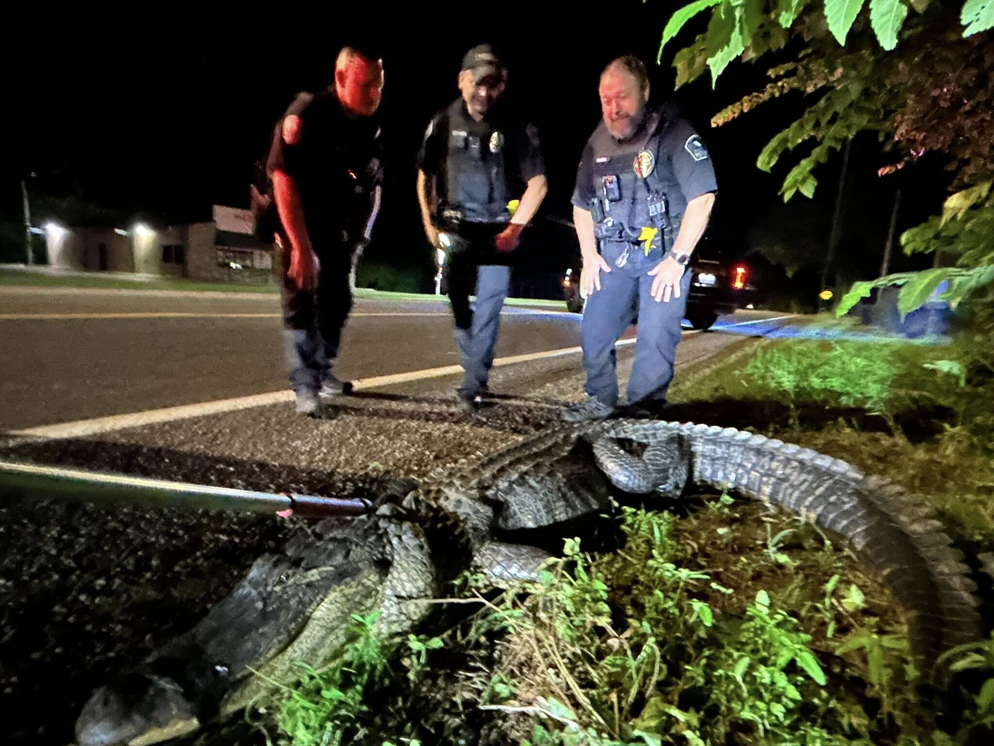 9-foot alligator removed from downtown Gladewater