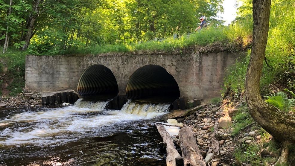 Fish passage, sea lamprey control project set to begin in northern ...