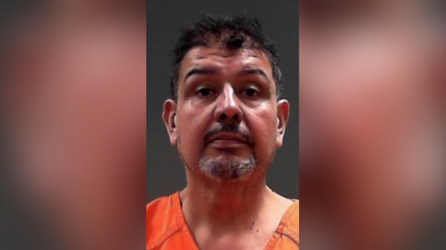 West Virginia racehorse caretaker pleads guilty to animal cruelty ...