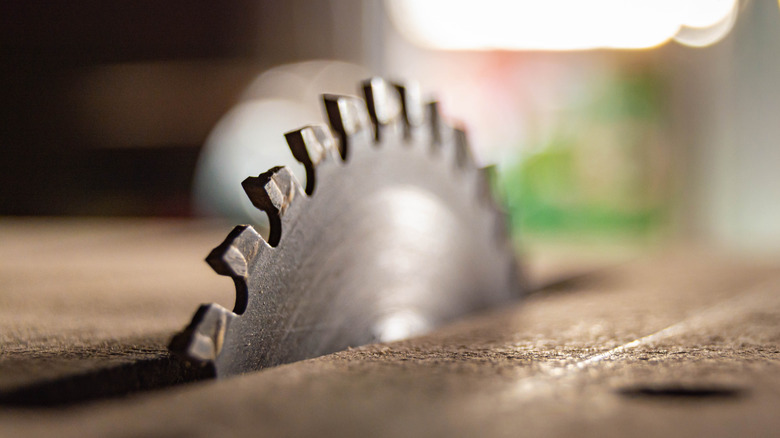 Table Saw Vs. Track Saw: Which Is Better For Your Woodworking Project?