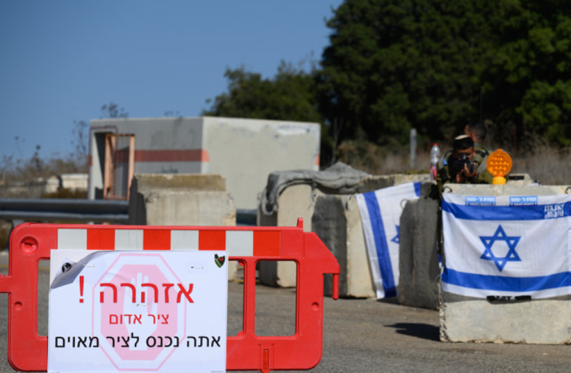 What are two Lebanese monkeys doing in a house in the Israel's North?