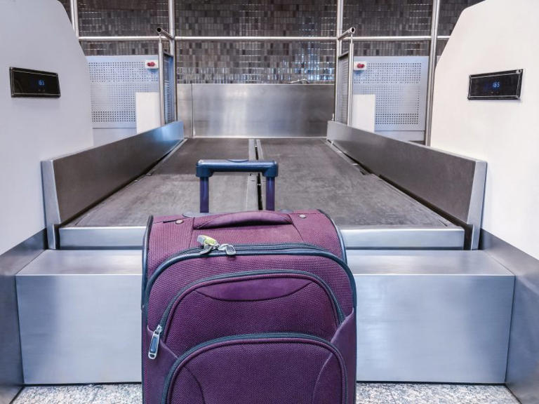 Police at Newark airport rescue 2-year-old from luggage system, X-ray ...