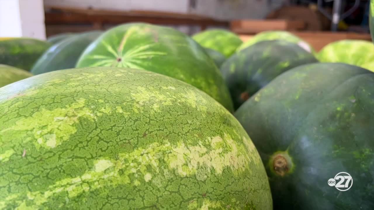 Monticello celebrates the 74th annual watermelon festival with ...
