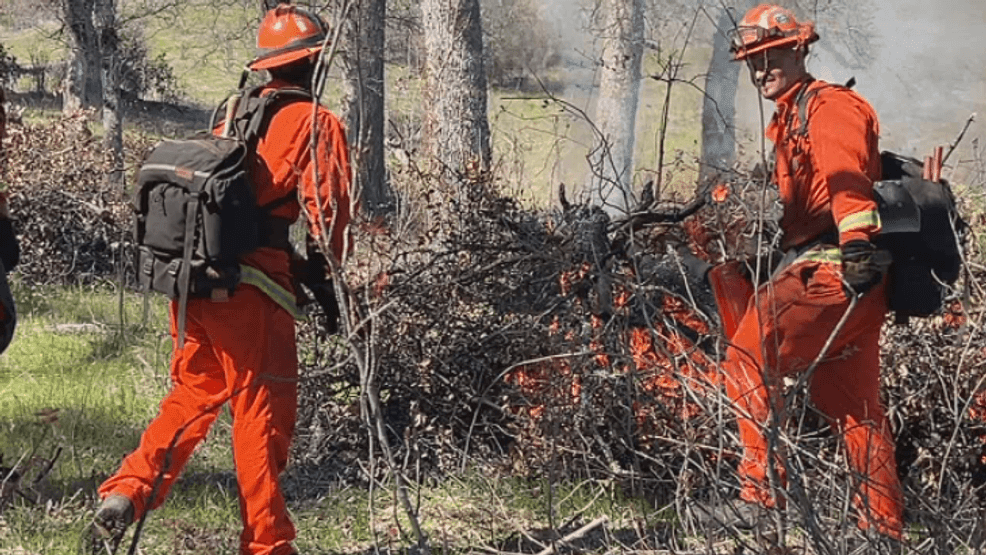 Cal Fire begins vegetation management project in Shasta County