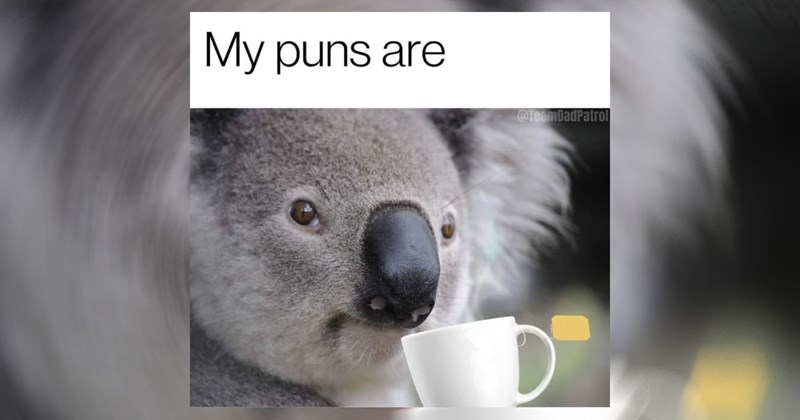 30+ Memes For All Eras