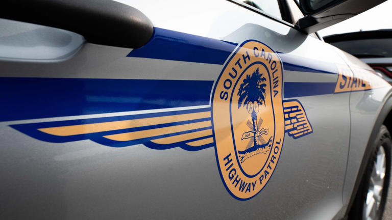 Coroner identifies victim killed in Orangeburg auto-pedestrian hit-and-run