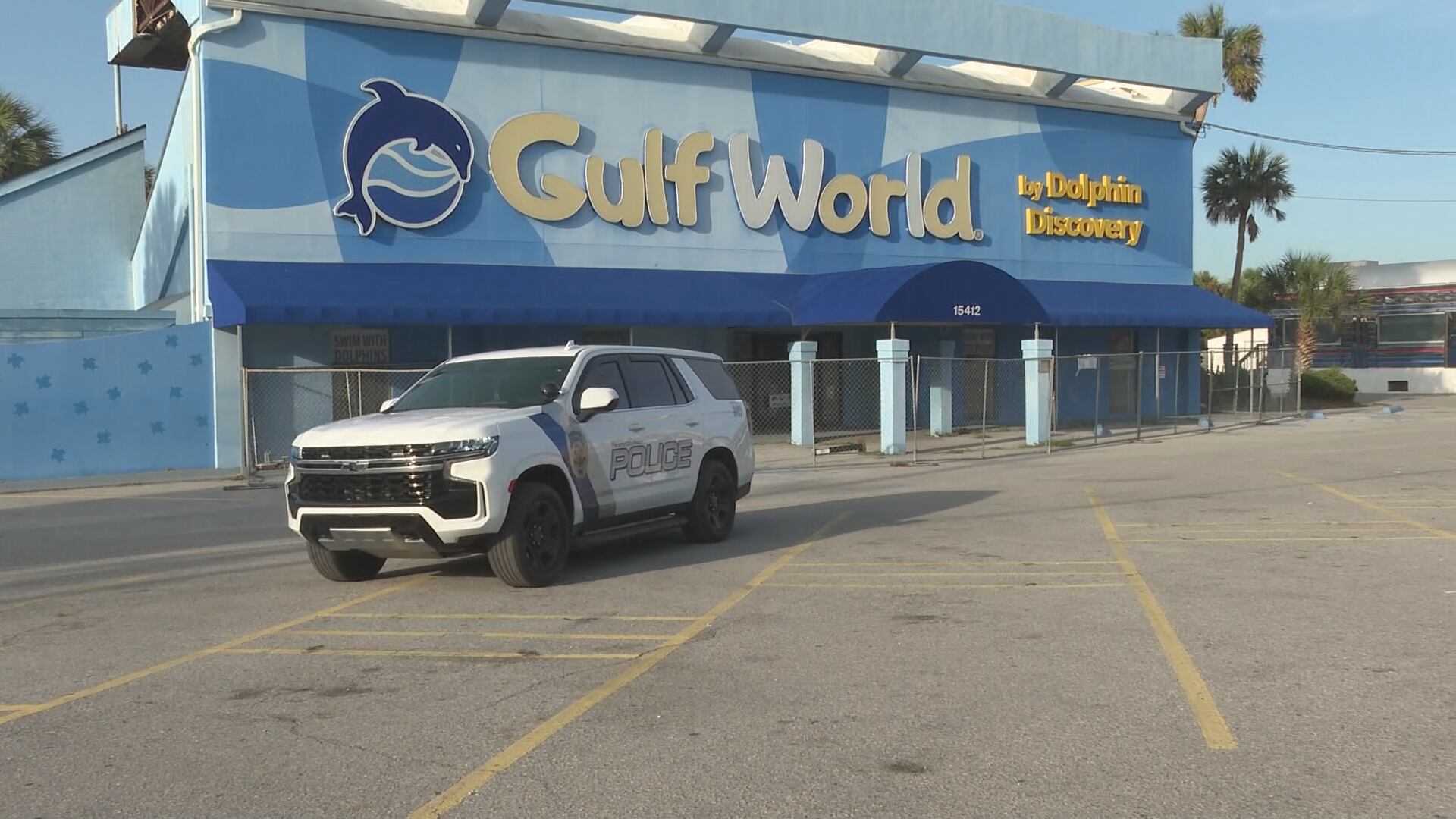 Four Gulf World dolphins set to be relocated to a facility in Clearwater