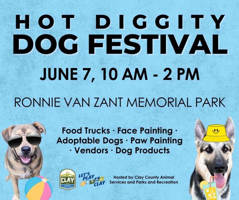 Future pet owners can meet their forever dog at the first Hot Diggity ...