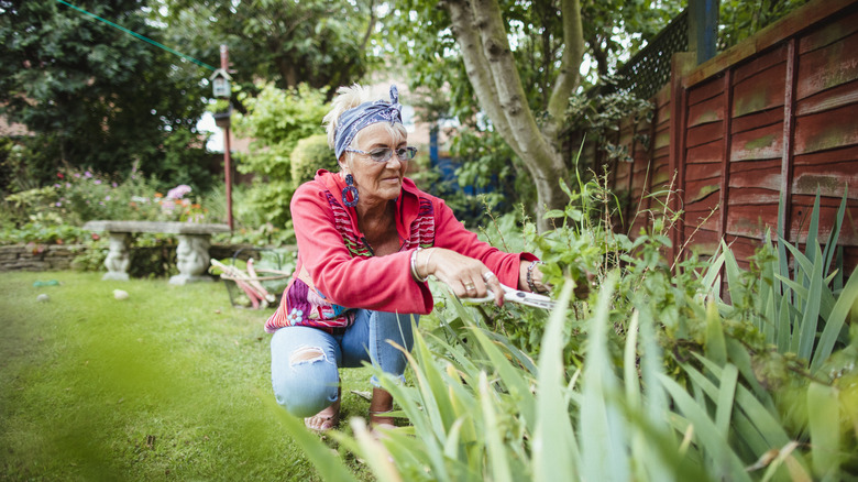 Make your garden feel more sentimental with the nostalgia gardening trend