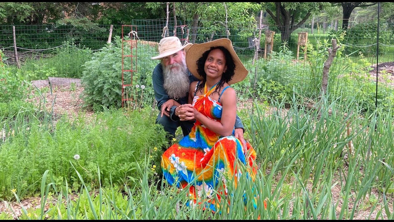 Willows Green Permaculture