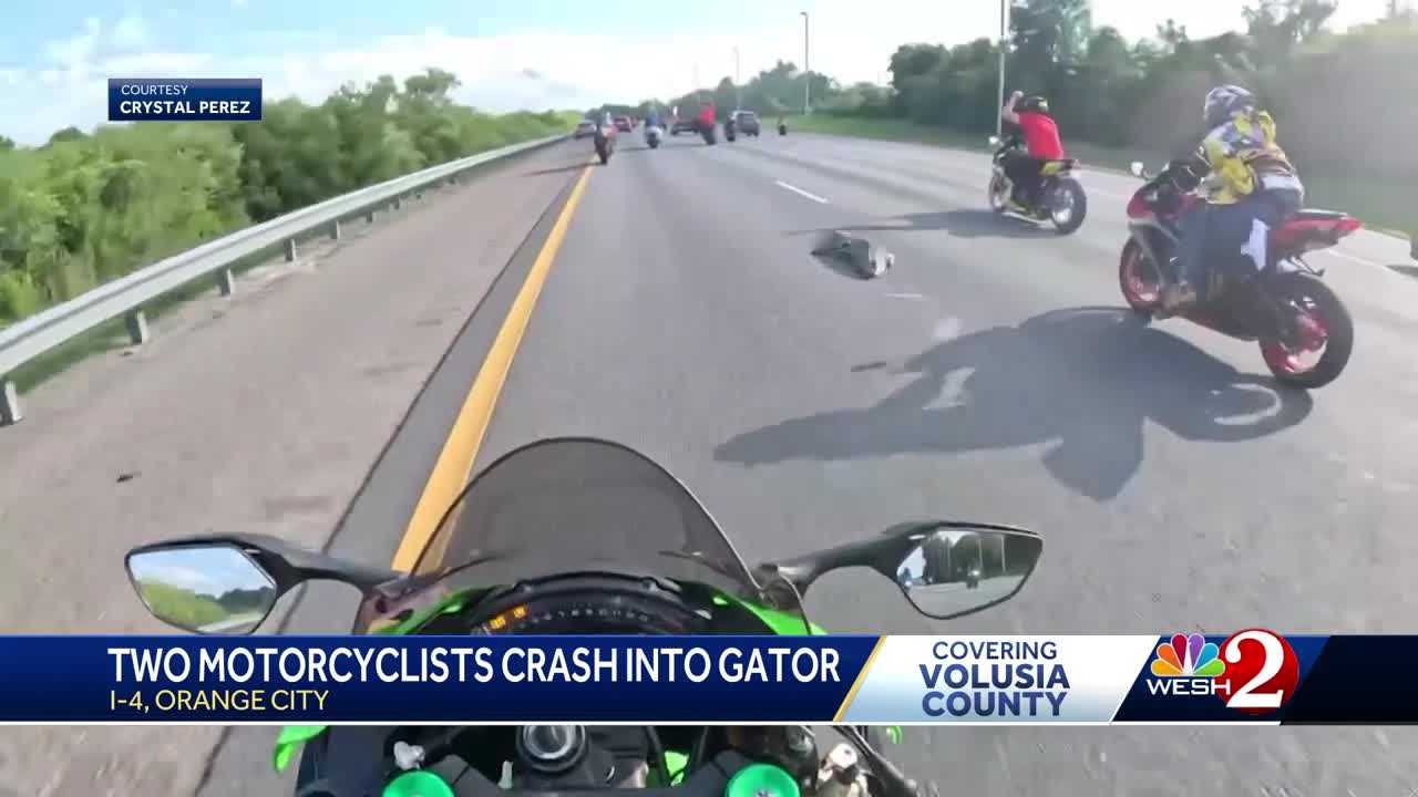 'I flipped over the handlebars': Gator on I-4 causes motorcycle riders ...