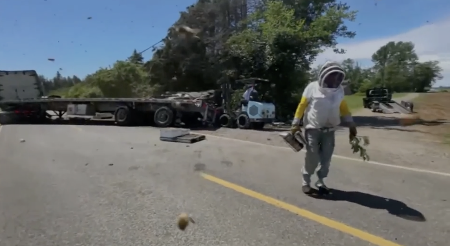 WATCH: Millions of bees loose after semi-truck overturns in Washington