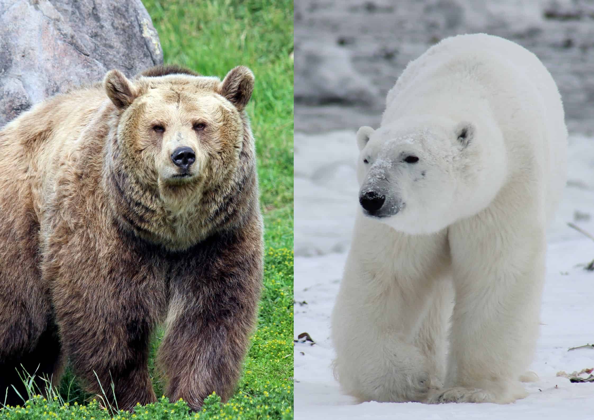 The 20 Best Six-Pack Ab Exercises For Everybody