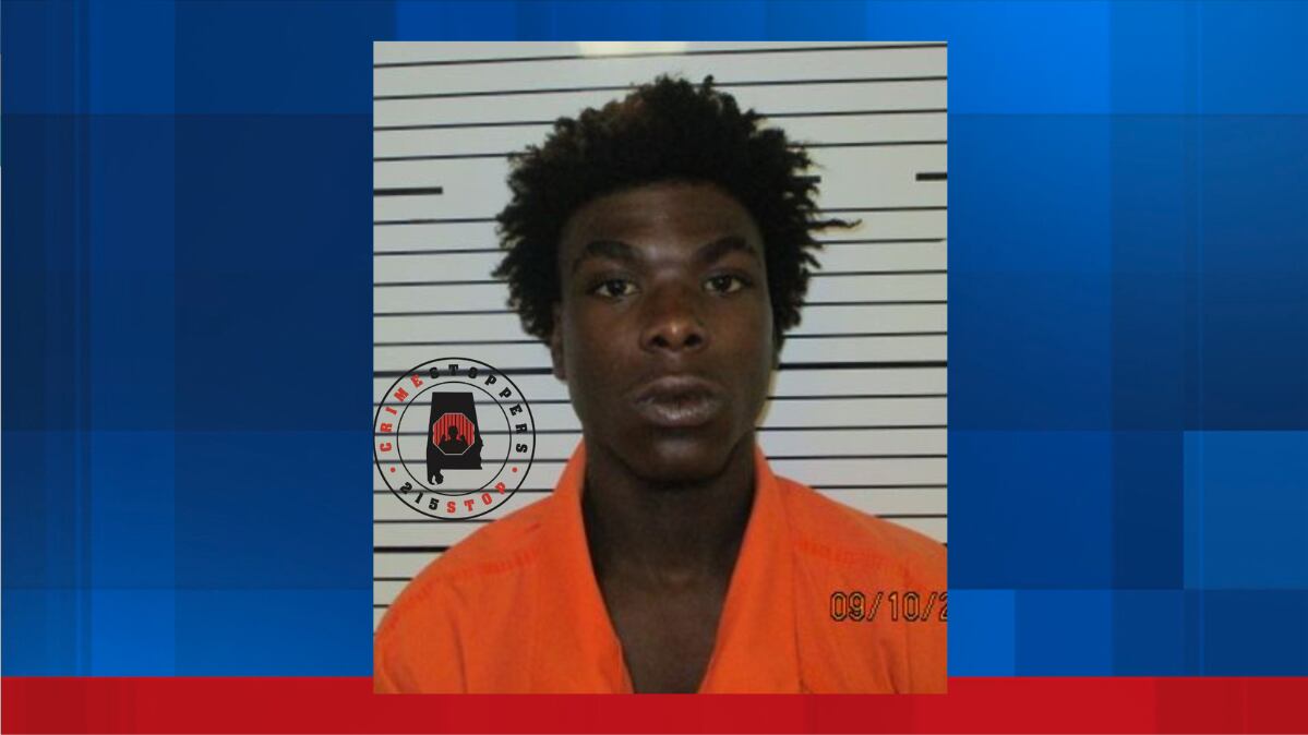 Wilcox County attempted murder suspect captured