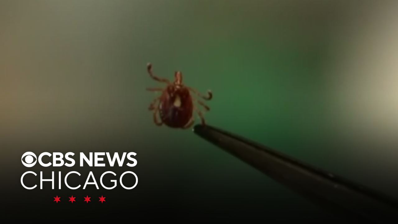 Officials warn of tick trouble all around Illinois