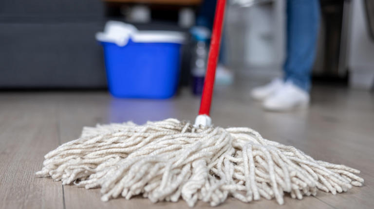 Why Are People Putting Ice In Their Mop Water, And Is This A Good Idea?
