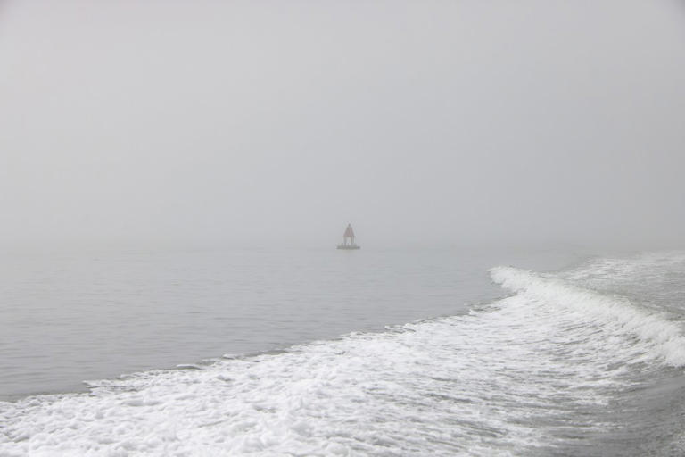 Cutting-edge AI allows Long Island boaters to see through ‘pea soup ...