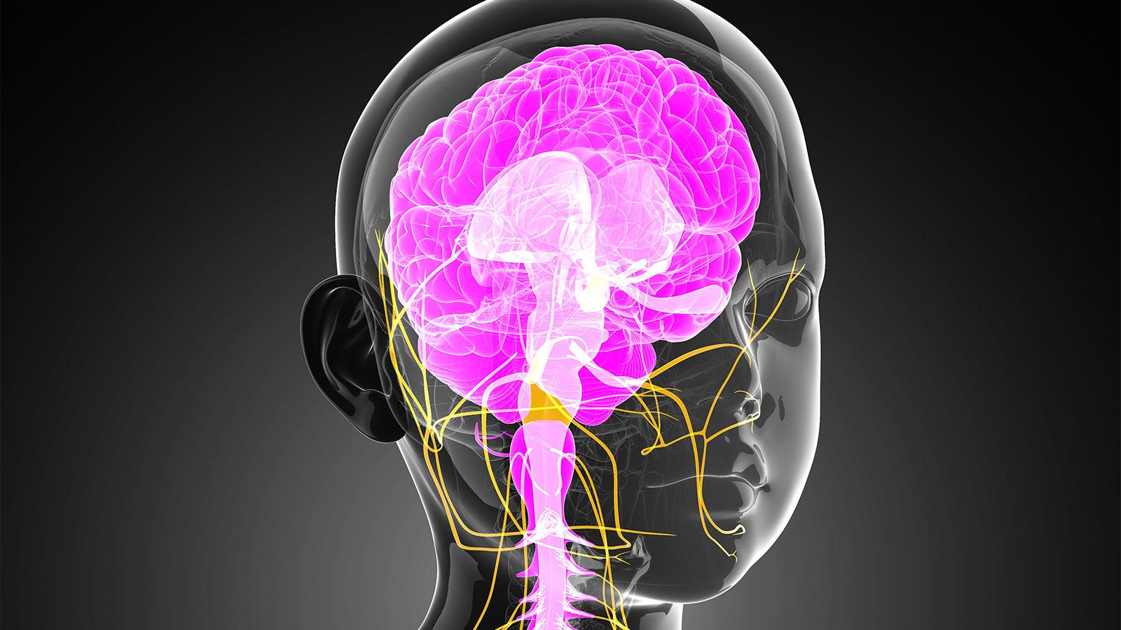 Neurodevelopmental and Psychiatric Disorders in Duchenne Muscular Dystrophy