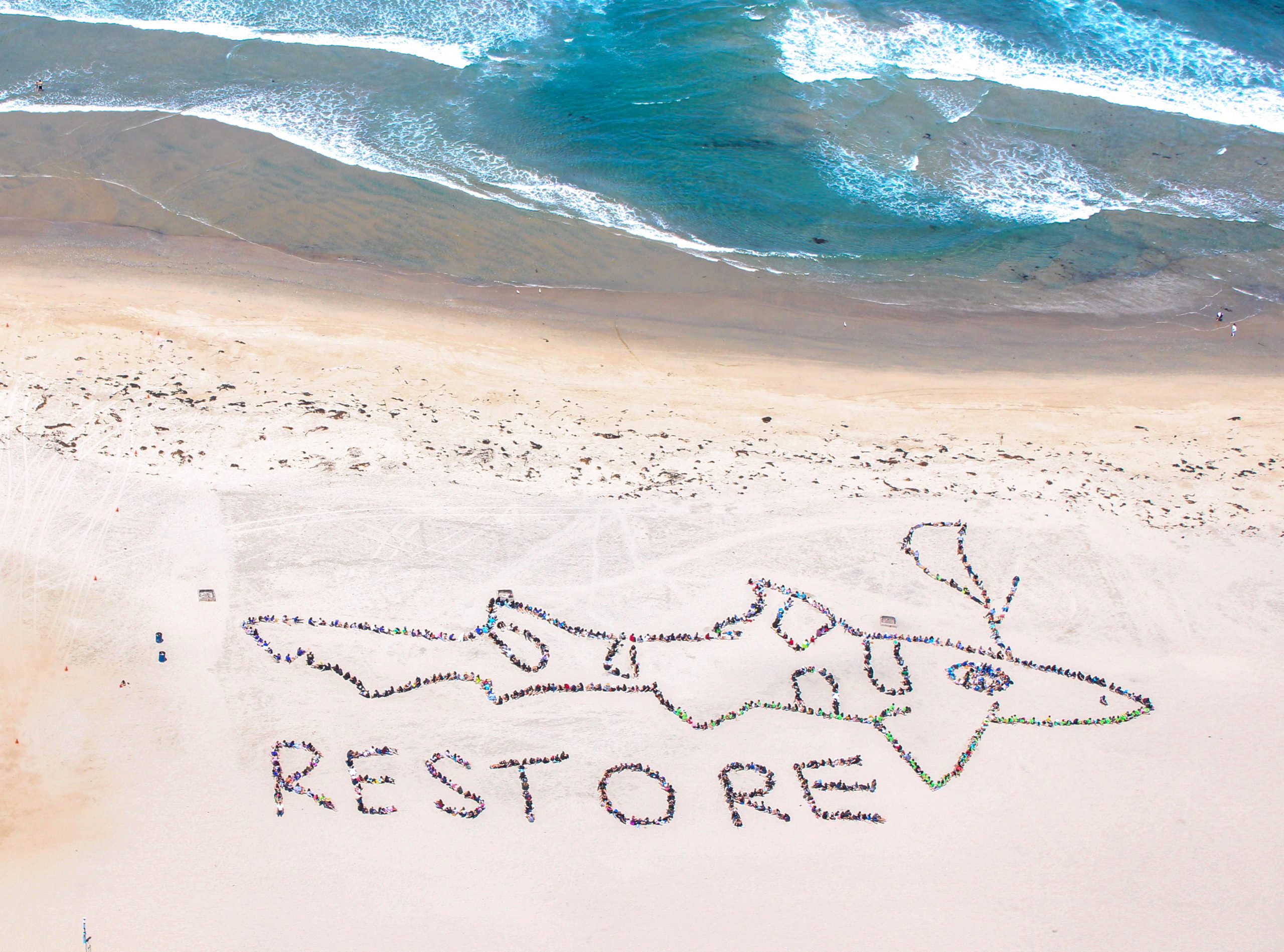 Hundreds of students help clean up Mission Beach for Kids Ocean Day
