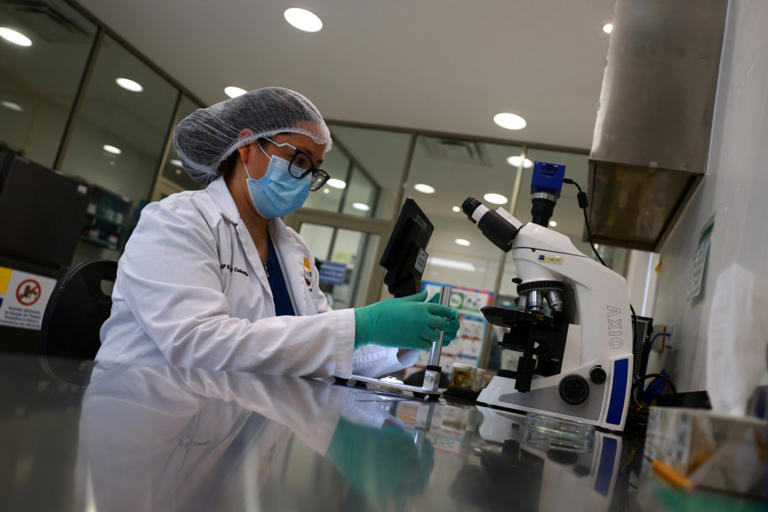 Terrifying parasite that eats animals alive is spreading - can it ...