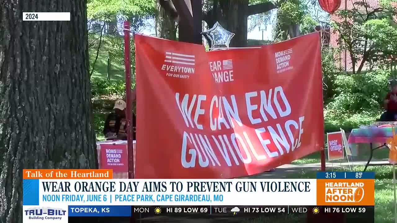 National Wear Orange Day aims to prevent gun violence