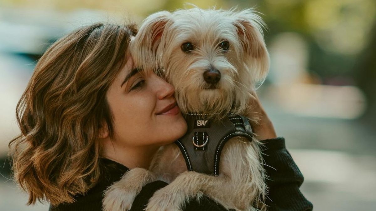 The Perks of Having a Dog at Home According to Harvard