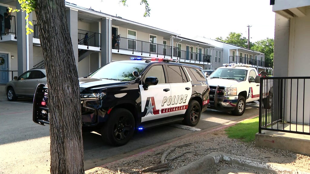 Teen arrested in fatal shooting of two brothers in Arlington, police say