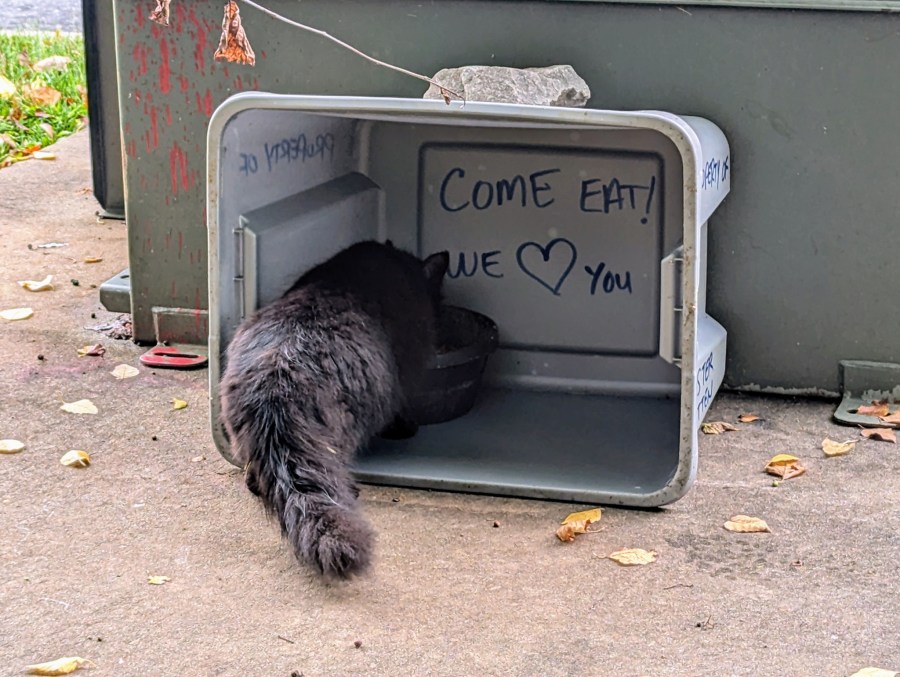 Volunteers reunite lost pets and families months after Hurricane Helene
