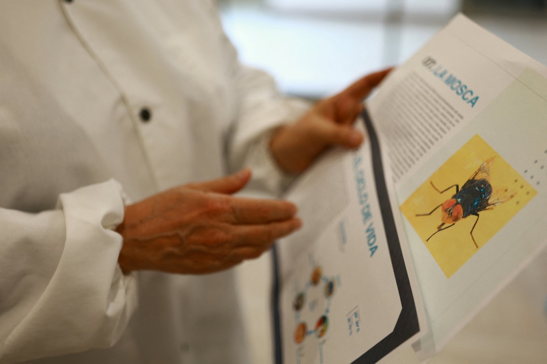 Terrifying parasite that eats animals alive is spreading - can it ...