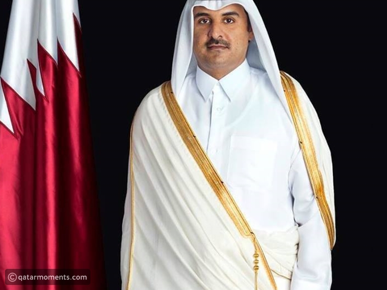 8 things you don't know about Qatar's emir